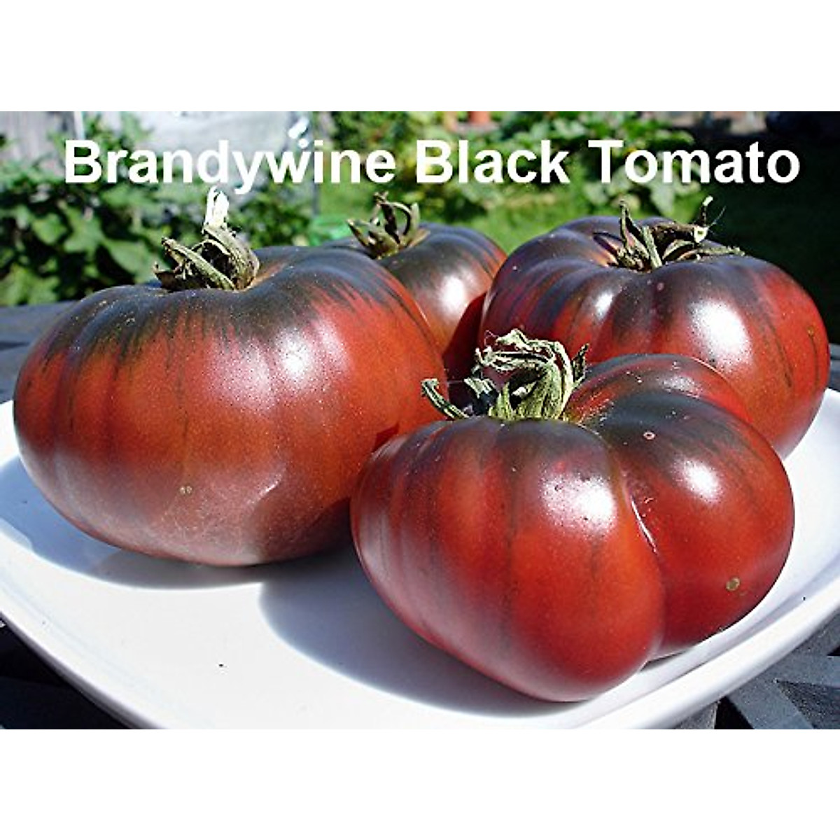Mixed Seeds! 30+ Black Tomato Seeds, Mix of 9 Varieties, Heirloom Non-GMO, Black Prince, Cherokee Purple, Black Cherry, from USA