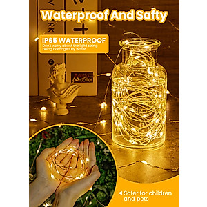 Minetom USB Fairy String Lights with Remote and Power Adapter, 66 Feet 200 Led Firefly Lights for Bedroom Wall Ceiling Christmas Tree Wreath Craft Wedding Party Decoration, Warm White