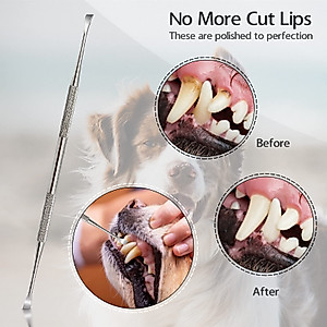 5 Pcs Dog Dental Tooth Scaler and Scraper Set with PU Carry Case, Including 2 Double-Headed Tartar Remover,1 Tooth Scraper, 1 Tweezers and 1 Mouth Mirror, Pet Teeth Cleaning Tools for Dog and Cat