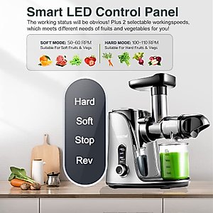 Juicer Machines,AMZCHEF Slow Masticating Juicer Extractor, Cold Press Juicer with Two Speed Modes, Travel bottle(500ML),LED display, Easy to Clean Brush & Quiet Motor for Vegetables&Fruits,Gray