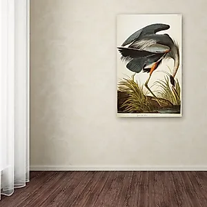 Great Blue Heron Artwork by John James Audubon, 22 by 32-Inch Canvas Wall Art