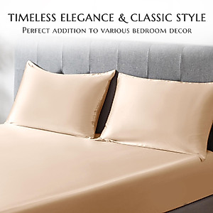 THXSILK Mulberry Silk Pillowcase, Champagne, Queen, 19 Momme, with Hidden Zipper, 20"