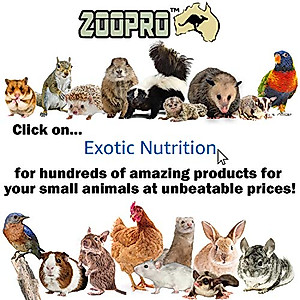 Silent Runner 12" Wide + Cage Attachment + Autoclean Track - Silent, Fast, Durable Exercise Wheel - Sugar Gliders, Degus, Rats, Hedgehogs, Prairie Dogs & Small Pets