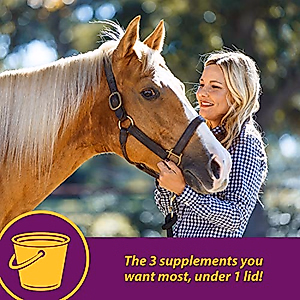 Horse Health Joint Combo Hoof & Coat, Convenient 3-in-1 horse joint supplement provides complete joint, hoof and coat care, 3.75 lbs., 30 day supply