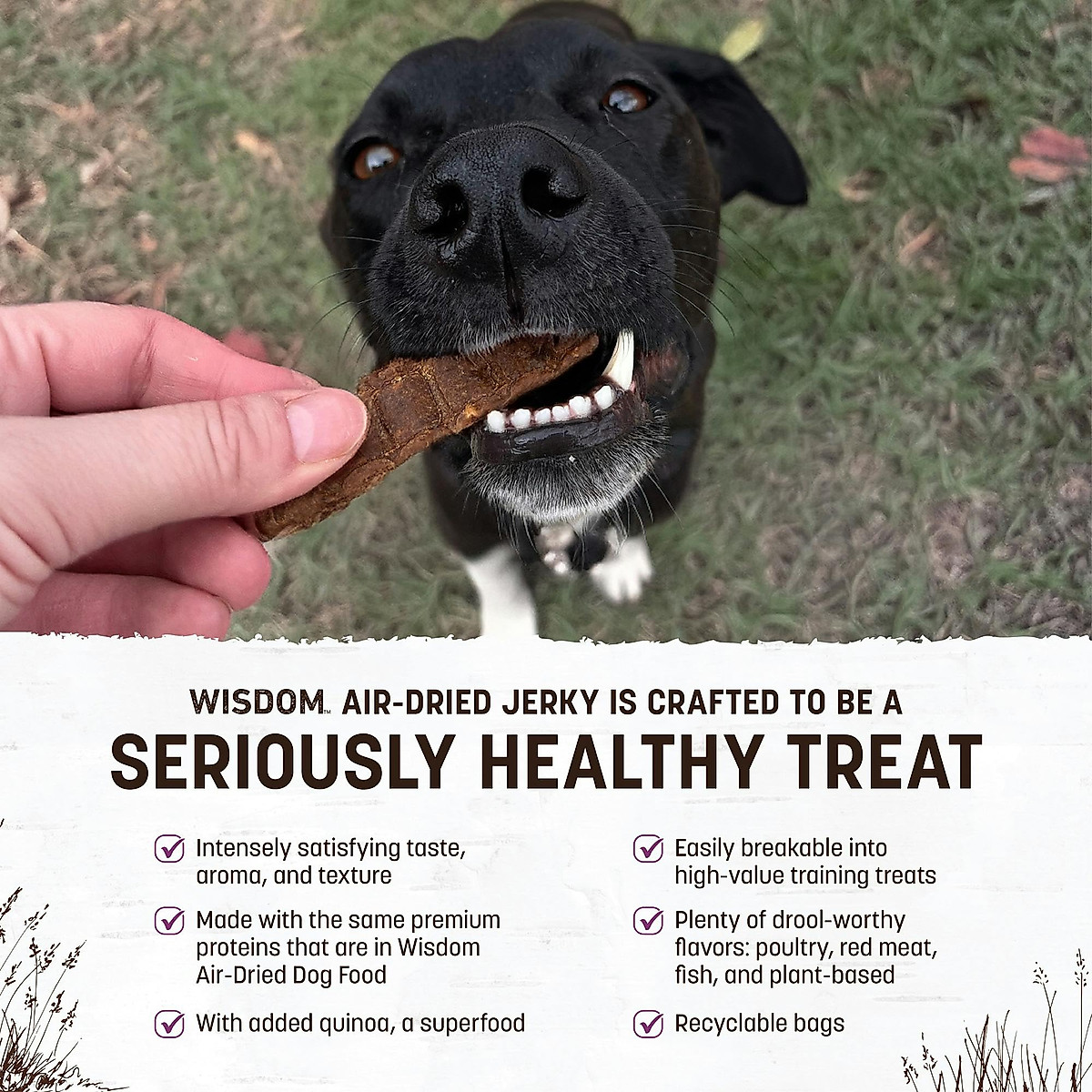 Earth Animal Wisdom Air-Dried Jerky Turkey Recipe | Dog Treats | Dog Snacks | Premium Natural Turkey Jerky Strips | 4 oz | Dog Treats Made in The USA (Pack of 1)