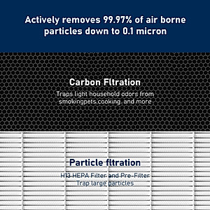 2 Pack G3 True HEPA Replacement Filter FXAP2W Compatible with AMEIFU G3 Sferf-30 (FXAP2W) Air Cleaner Purifier, VEWIOR A3 and Tailulu HQZZ-260 Air Cleaner Purifier,3 in 1 Filtration HEPA Filter