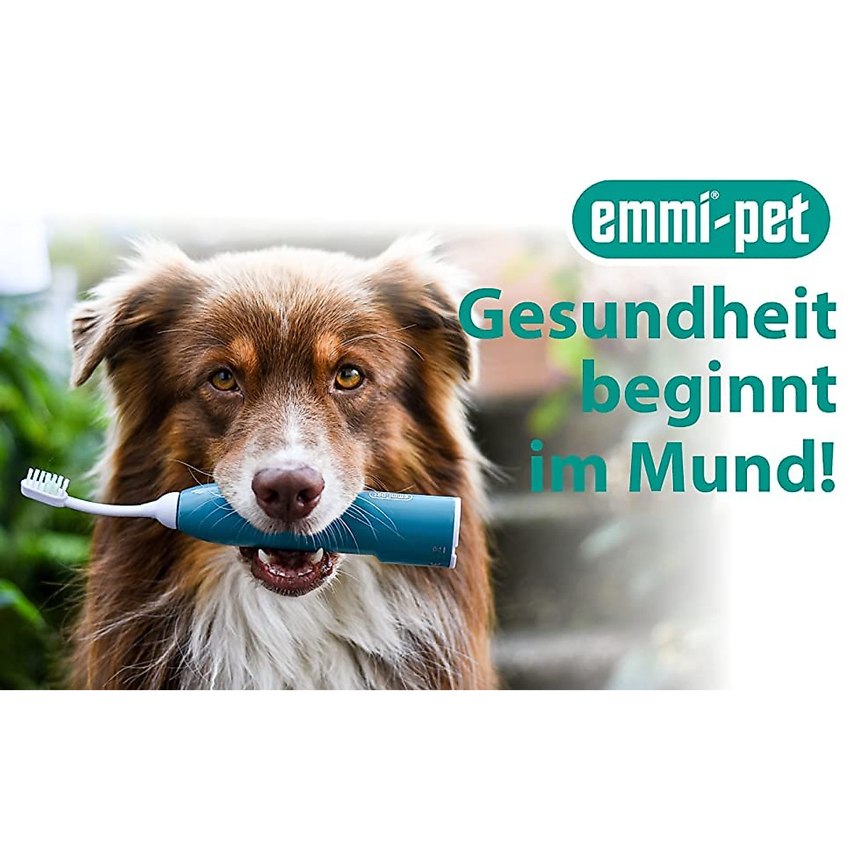 Emmi-pet Ultrasound Bristle-Head Attachments to Clean Pets' Teeth and Gums (Large Head Size, Set of 2)