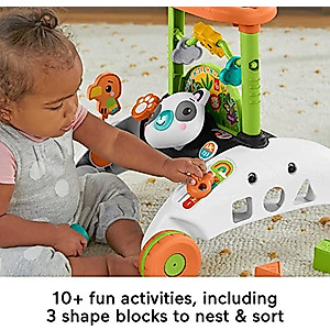 Fisher-Price Baby & Toddler Toy 2-Sided Steady Speed Panda Walker With Smart Stages Learning & Blocks For Ages 6+ Months