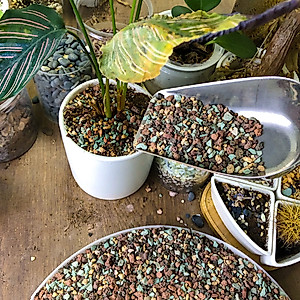 2.4lb Mix Horticultural Lava Rock Pebbles Pumice Potting Soil Amendment Succulent Cactus Bonsai Gritty Rock Decorative Gravel Plant Drainage Volcanic Rock for Aquarium Fairy Gardening Top Dressing