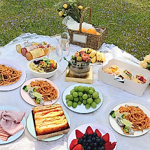 NA 10" 11" Dinner Plates Set of 10, Reusable Wheat Straw Dessert Dishes, Round Pasta Salad Serving Plate, Unbreakable Fiber Dinnerware for Party Steak Pizza (Pink)