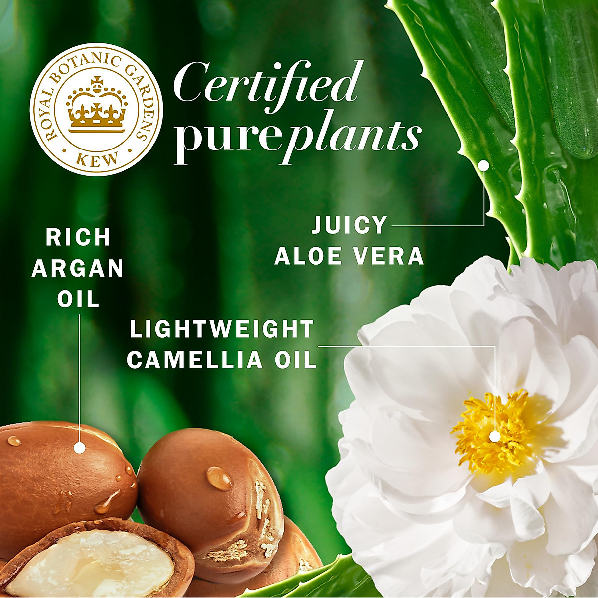 Herbal Essences Bio Renew Repair Argan OIl Hair Conditioner - 20.2 fl oz