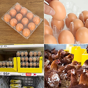 Plastic Egg Cartons Bulk, 40 Packs Empty Clear Plastic Egg Cartons to 12 Eggs, Reusable Chicken Egg Cartons for Family Pasture Chicken Farm, Business Market Display, Storage
