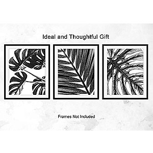 Grey Tropical Leaf Botanical Wall Art 3 Piece Print Set 8x10 Unframed Black and White Monstera and Palm Leaves for Bathroom, Bedroom Home Decor Idea