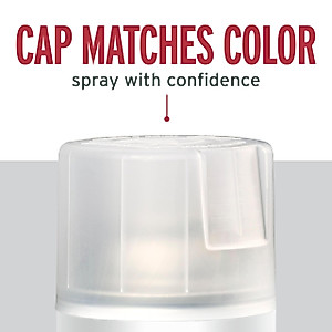 Rust-Oleum 285093 Stops Rust Spray Paint, 12 Oz, Matte Clear