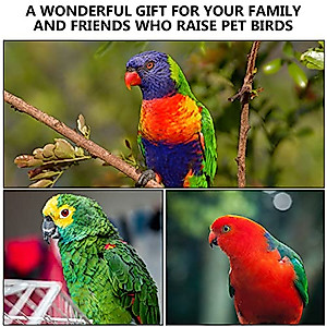 POPETPOP Bird Water Dispenser, Bird Water Automatic Bottle Automatic Water Drinker, Bird Drinker Waterer Parakeet Water Bottle Parrot Parrot Feeding Bottle Water Dispenser Bird Cage Supplies