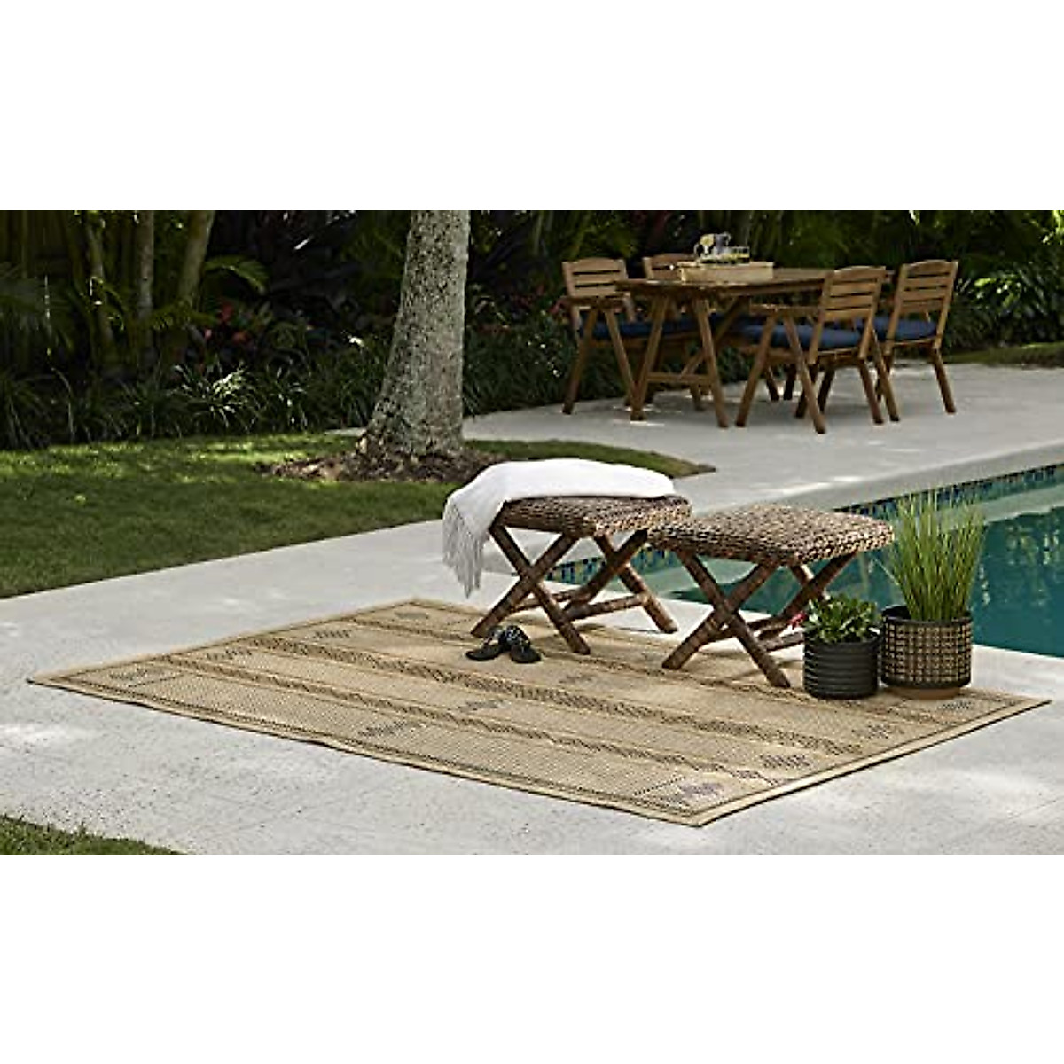 Momeni Hampton Transitional Indoor/Outdoor Area Rug, Natural, 4'1" X 6'