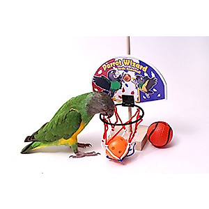 Birdie Basketball - Adjustable Height Parrot Basketball Trick Prop