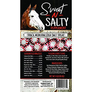 Kalmbach Feeds Sweet N Salty Peppermint Flavored Salt Treat Brick for Horses, 4 lb