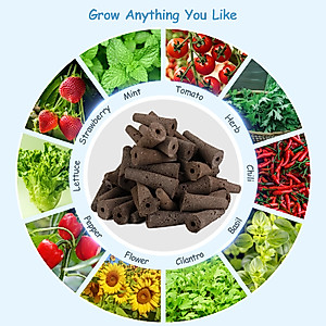 GoorDik 100 Pack Grow Sponges, Replacement Root Growth Sponges Seed Pods Compatible with AeroGarden, Seed Starter Sponges Kit with 10 Plant Labels and 1 Tweezers for Hydroponic Indoor Garden System