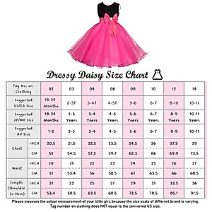 Dressy Daisy Baby Girls Special Occasion Dresses Wedding Flower Girl Pageant Gown Party Dress Size 18-24 Months, Black and Hot Pink