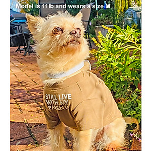 Cute Dog Clothes,Dog T Shirt for Medium Dogs.Dog Clothes for Small Dogs Girl Boy,Puppy.Breathable Soft Dog Costume Pet Dogs Cats,Pet Pullover Jumper,Cat Clothes (S-(4~8lb), Chest~14", Khaki)