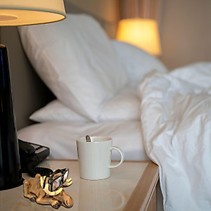 Whimsical Lazy Moose EyeGlasses Holder Stand - Fun Glasses Keeper