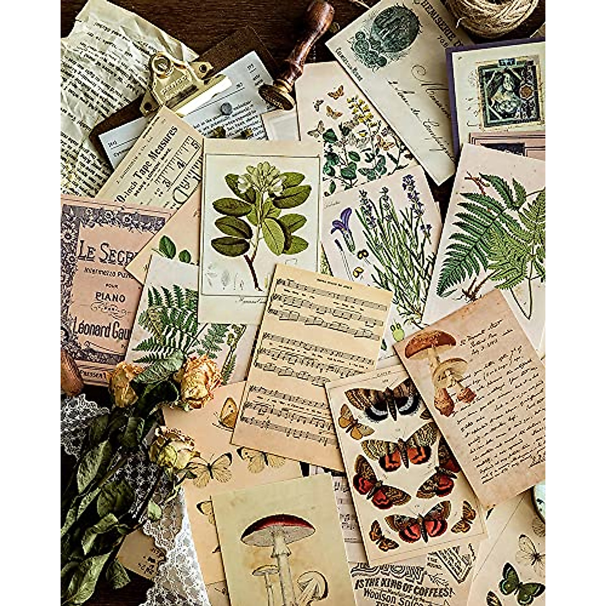 Knaid Vintage Style Postcard Set, Pack of 30 Botanical Plants Butterfly Mushroom Leaves Fruits Retro Postcards