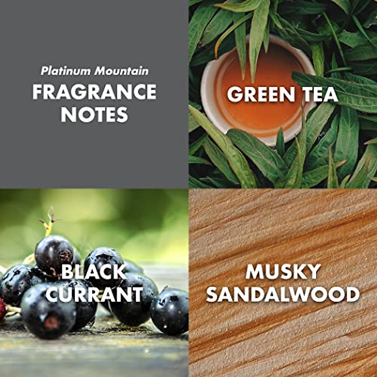 Fragrance Inspired by Silver Mountain Water Men's Cologne | Almost an Exact Clone | 1.7oz Eau de Parfum | Robust Masculine Crisp Clean Scent with a Woodsy Backbone | Unisex Fragrance is Addictive!