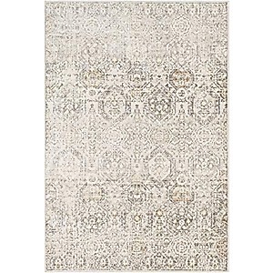 Artistic Weavers Aune Updated Traditional Area Rug 7'10" x 10'2",Grey