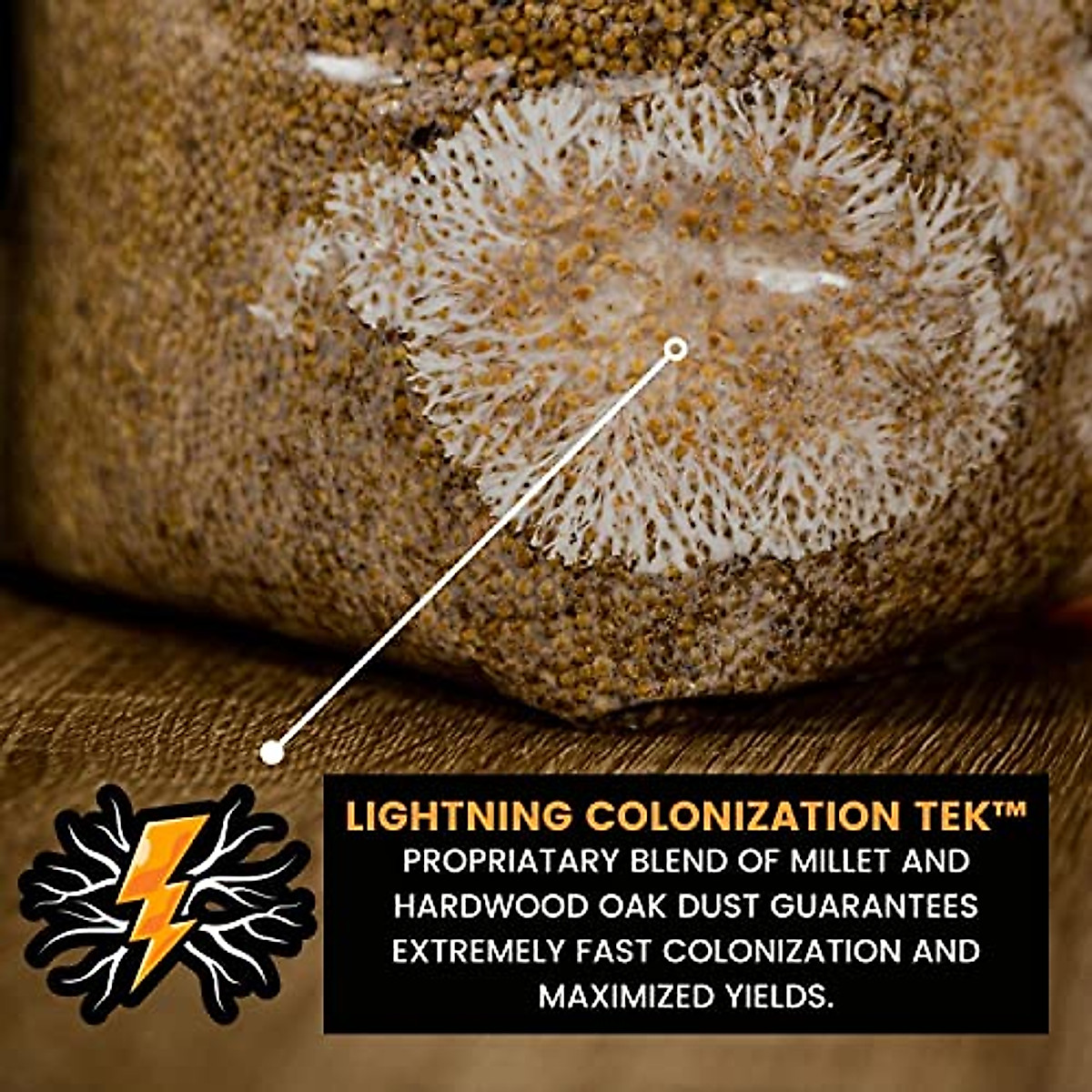 MushroomSupplies.com Sterilized Grain Bag for Mushroom Growing | Millet Substrate | 0.2 Micron Filter Mycobag Grow Kit | Mycology Cultivation Supplies (3LB)