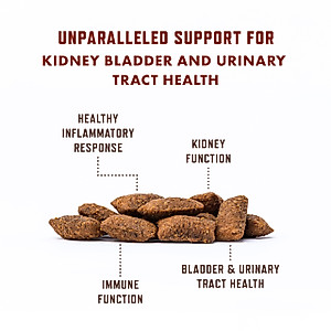 Rocco & Roxie Cat Urinary Tract Health Supplement, Cranberry and D-Mannose for Kidney, Bladder, and UT Support, Vet Recommended Chicken Flavored Crunchy Chews Cats Love, Made in USA