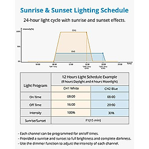 NICREW ClassicLED Marine Aquarium Light, LED Light with Dual-Channel Timer for Saltwater Fish and Reef Tanks, 18 to 24-Inch, 20-Watt