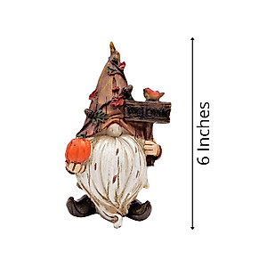 Needzo Cute Autumn Welcome Sign Garden Gnome Holding a Pumpkin, Fall Gnomes for Yard Decoration, Thanksgiving Porch Decorations, 6 Inches