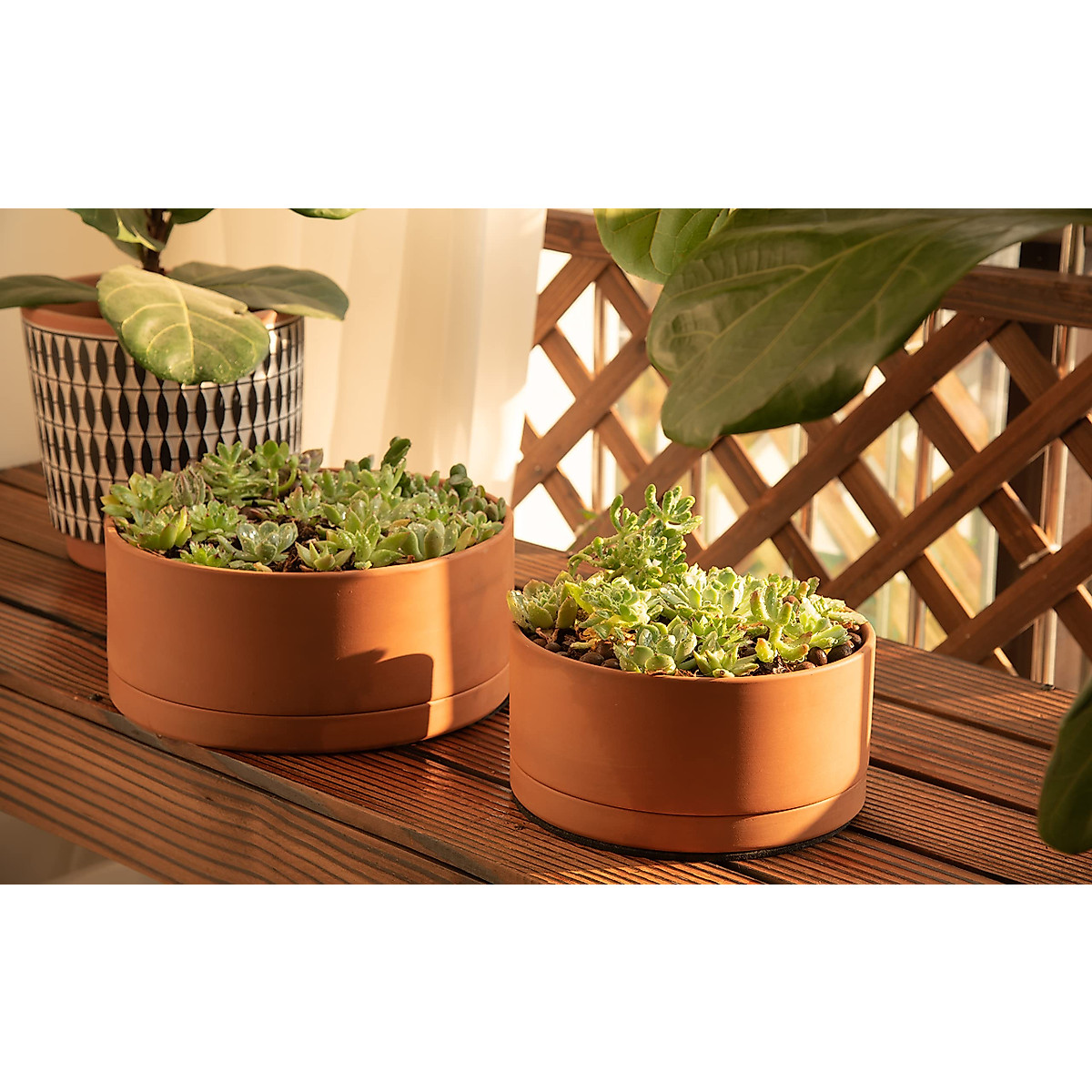 D'vine Dev 10 Inch Succulent Terracotta Shallow Pot with Drainage Hole and Saucer, Round Cylinder Planter Pot for Plant Flower, 40-B-L-10-1