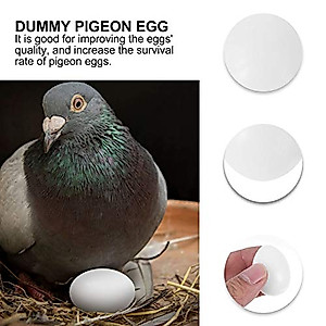 POPETPOP Fake Pigeon Eggs - 30Pcs Parrot Dummy Eggs White Solid Plastic Simulation Hatching Eggs Pigeon Birds Dummy Eggs for Hatch Incubation Breeding Solid