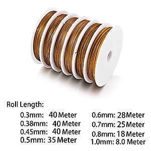 1 Roll/lot 0.3-1.0mm Bead Stringing Wire,Anti-bite Wear Resistant Strong Line Stainless Steel Tiger Tail Beading Wire for DIY Jewelry Making Finding (Gold Steel Wire, 0.6mm-92 feet/28m)