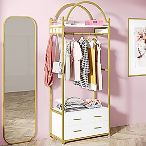 LITTLE TREE Tall Clothes Rack Shelves with Shelves Drawers and Hooks, Modern Arced Closet Organizer Heavy Duty Garment Clothing Freestanding Wardrobe Storage Shelving with Hanging Rod, White Gold