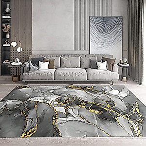 Gray White Gradient Marble Decorative Rug, Golden Texture Light Luxury Indoor Carpet, Large Non-Slip Soft Fluffy Thickened for Living Room Bedroom Office Study Boy Girl Hallway 4 x 6ft