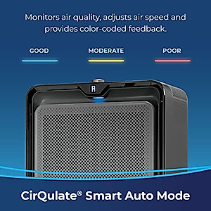 Bissell Smart Purifier with HEPA and Carbon Filters for Large Room and Home, Quiet Bedroom Air Cleaner for Allergies, Pets, Dust, Dander, Pollen, Smoke, Odors, Auto Mode, air220, 2609A