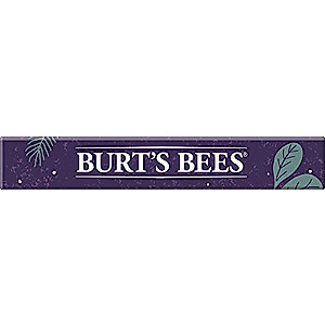 Burt’s Bees Holiday Gift, 4 Lip Balm Stocking Stuffer Products, Beeswax Fruit Set - Pomegranate, Sweet Mandarin, Coconut and Pear & Watermelon (Old Version)