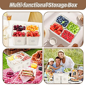 Fruit Storage Containers for Fridge: Divided Serving Tray with Lid and Handle - Snackle Box Container with 4 Removable Colanders - Berry Vegetable Fresh Produce Saver Refrigerator Organizer Bins
