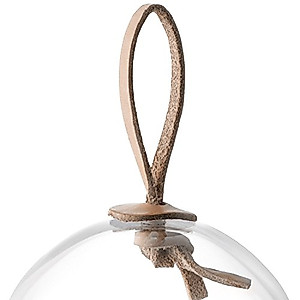 LSA IV11 Ivalo Ash Stand & Dome Ø11.5 cm/H19 cm Clear