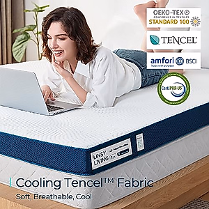 LINSY LIVING Queen Mattress Topper, 3 Inches Dual Layer Firm Memory Foam for Pressure Relief, Removable and Washable Tencel™ Cover, Adjustable Straps, CertiPUR-US Certified, Oeko-TEX, Queen Size