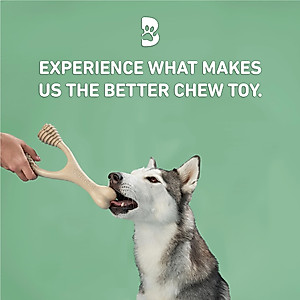 BetterBone - All-Natural, Nylon-Free Dog Chew Toys - Medium Density - Ideal for Moderate to Strong Chewers - Non-Toxic, Promotes Dental Health, Splinter-Resistant, Sustainably Made