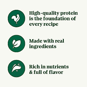 NUTRO Crunchy Dog Treats with Real Mixed Berries, 16 oz. Bag