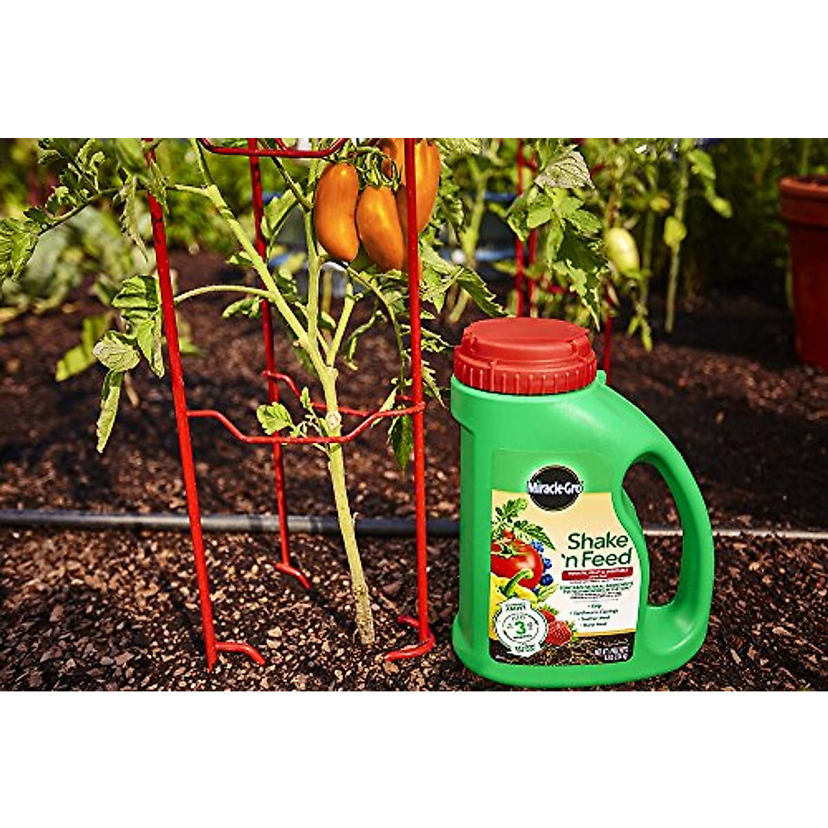 Miracle-Gro Shake 'N Feed Tomato, Fruit & Vegetable Plant Food, Plant Fertilizer, 4.5 lbs.