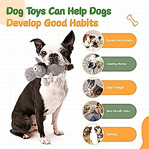Sedioso Dog Toys, Dog Plush Toy for Large Breed, Cute Squeaky Dog Toys with Crinkle Paper, Dog Chew Toys for Puppy, Small, Middle, Big Dogs (Donkey(Grey))