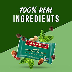 Larabar Mint Chocolate Mini Bars, Gluten Free Vegan Fruit & Nut Bars, 20 ct