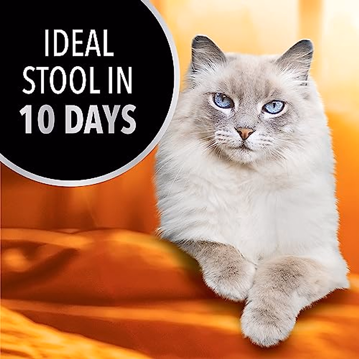 IAMS Advanced Health Healthy Digestion Turkey and Chicken Recipe Adult Dry Cat Food, 7 lb. Bag