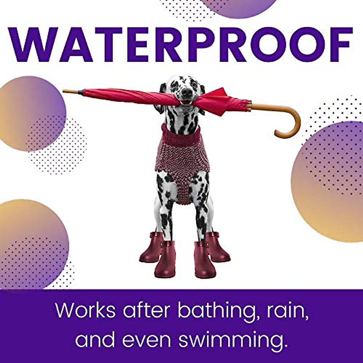 ZoGuard Plus Flea and Tick Prevention for Dogs (Medium - 23-44 lb)